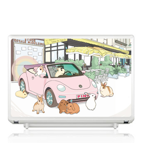 [디자인스킨] 삼성센스 NT-NC10